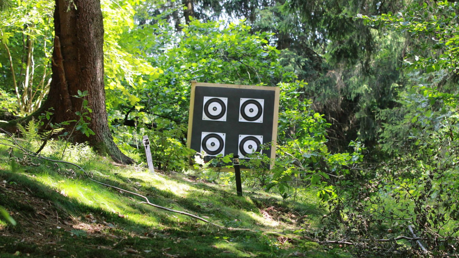 IFAA World Ranking | DFBV e.V.